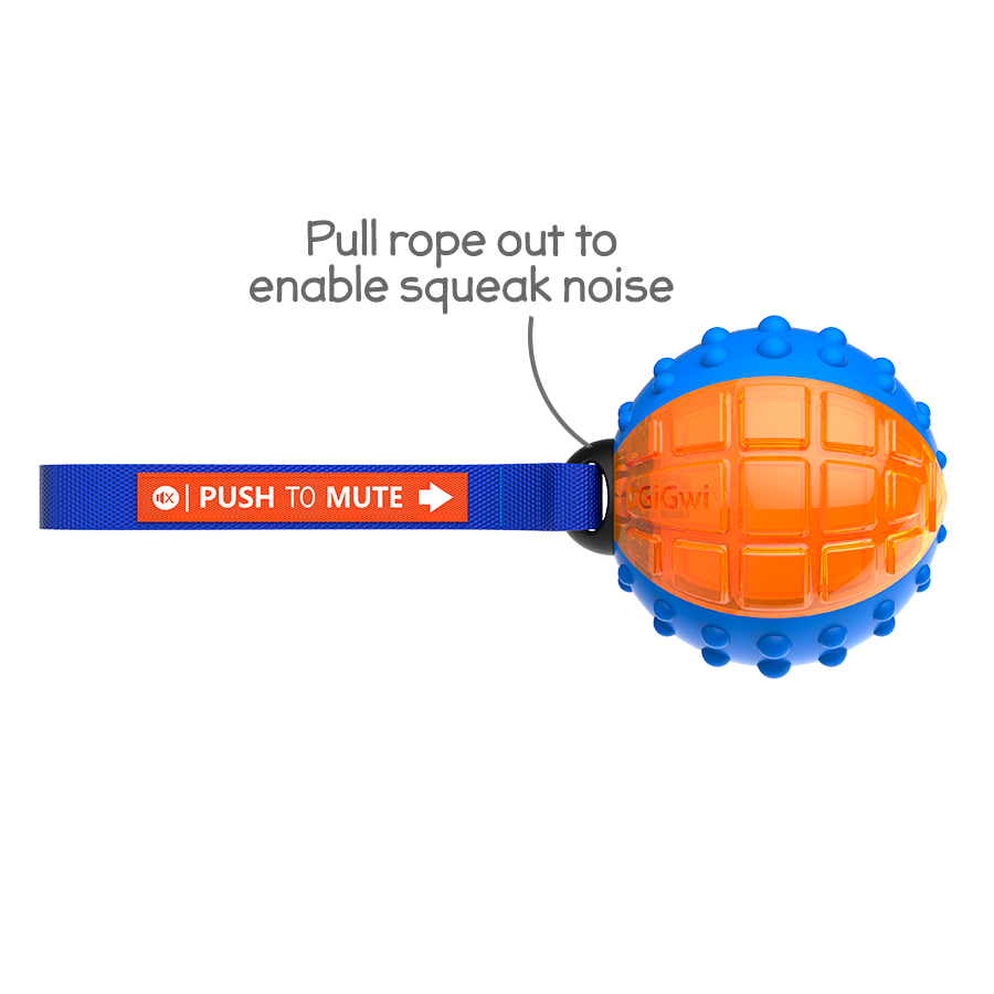 Push to Mute Ball Dog Toy - Innovations