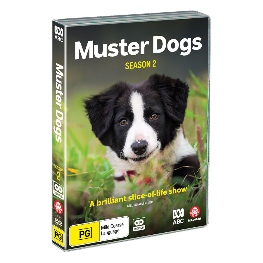 Muster Dogs - Season 1 - Innovations