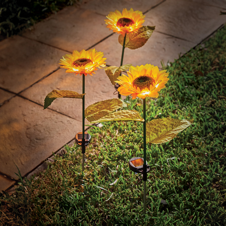 Solar Sunflowers - Innovations