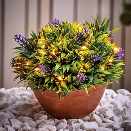 Solar Lavender Pot - Innovations