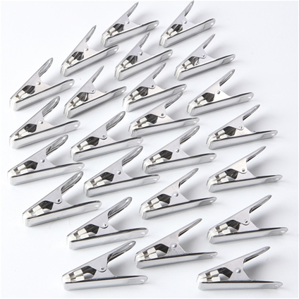 Stainless Steel Pegs Set - Innovations